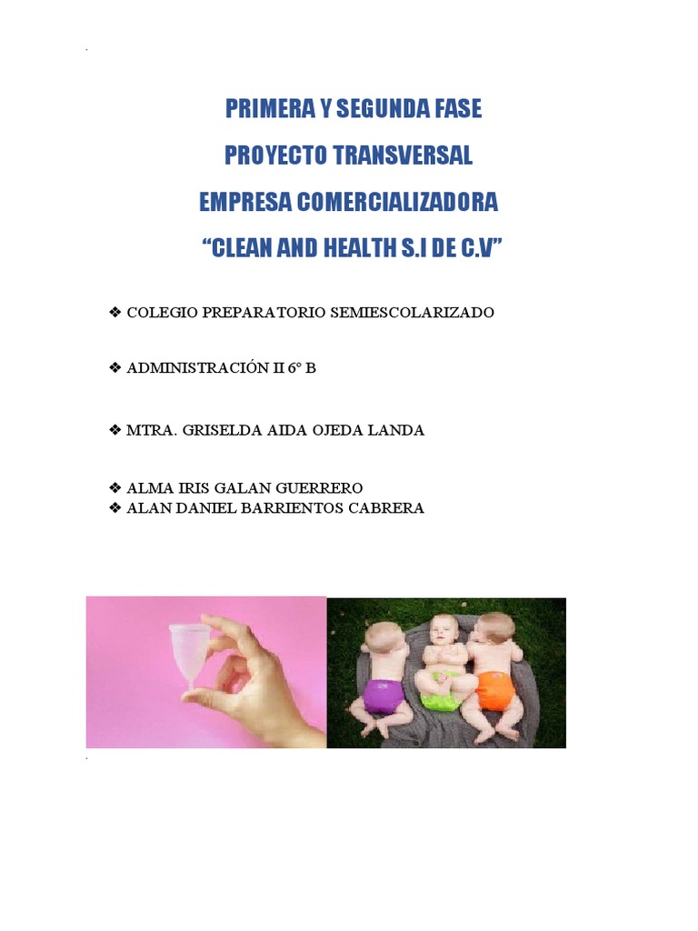 Admon 6B Proyecto | PDF | Planificación de recursos empresariales | Business