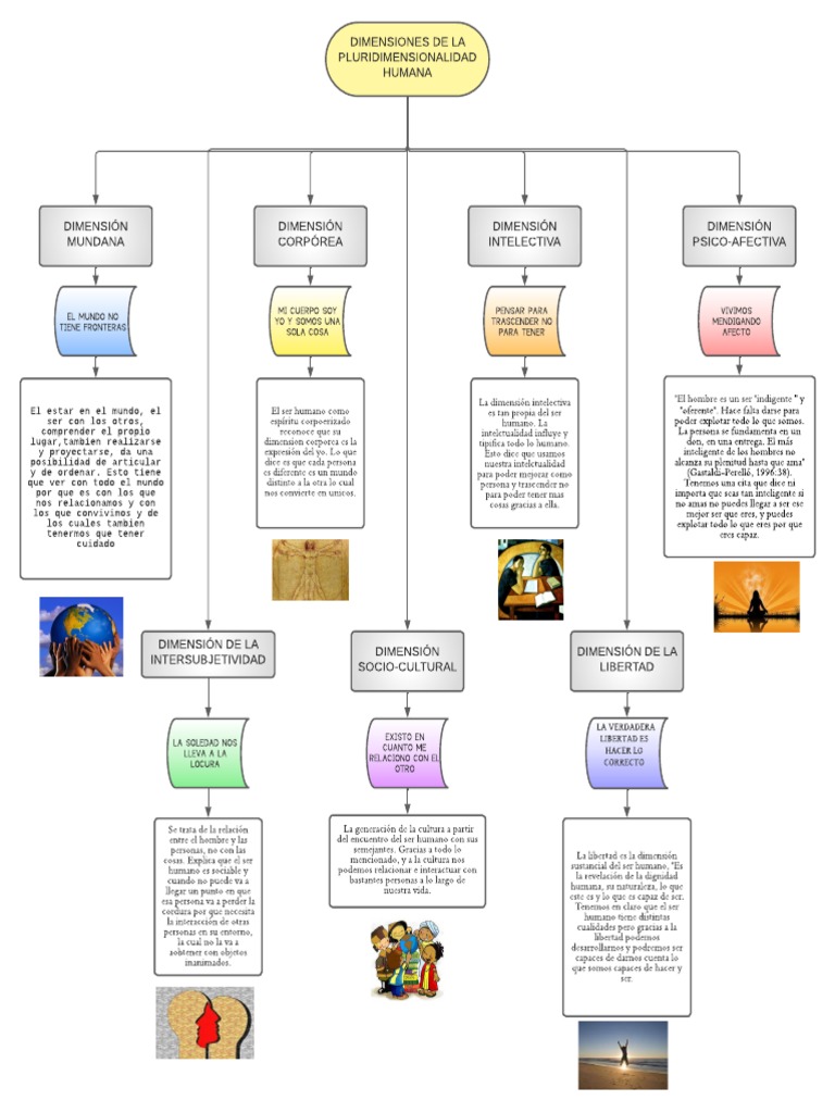 ORGANIZADOR GRAFICO Antropologia | PDF