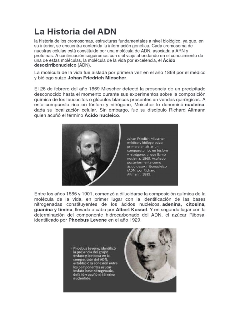 La Historia Del ADN | PDF | Adn | Biología Molecular