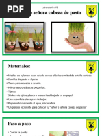 Proyecto-Señor Cabeza de Pasto | PDF