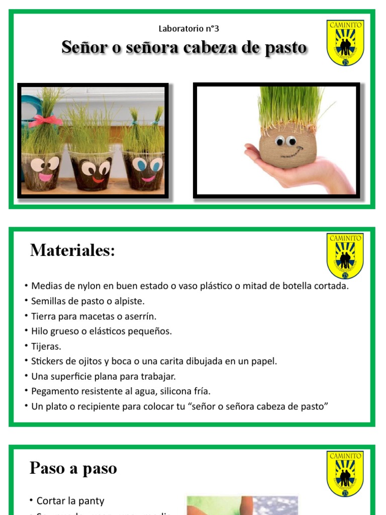 Señor y Señora Cabeza de Pasto Paso A Paso | PDF | Hogar, jardinería y ...