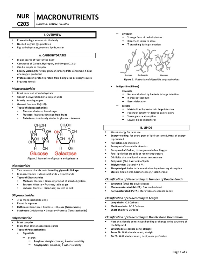 [Notes]-Macronutrients | PDF | Amino Acid | Carbohydrates