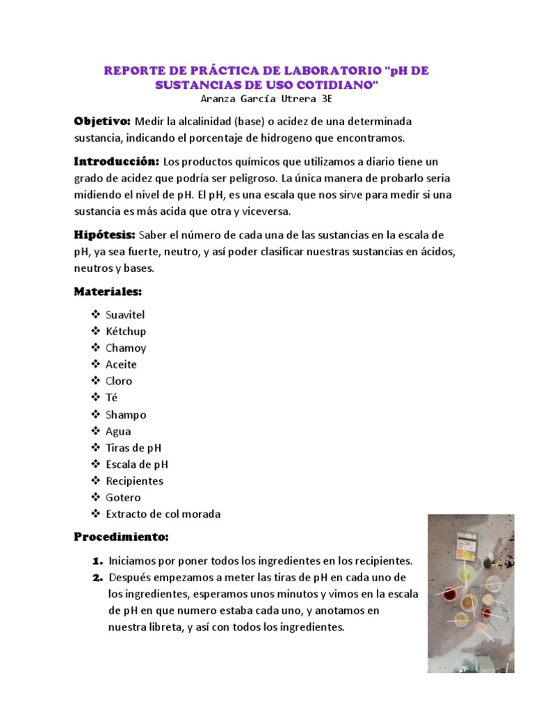 Reporte de Práctica de Laboratorio | PDF