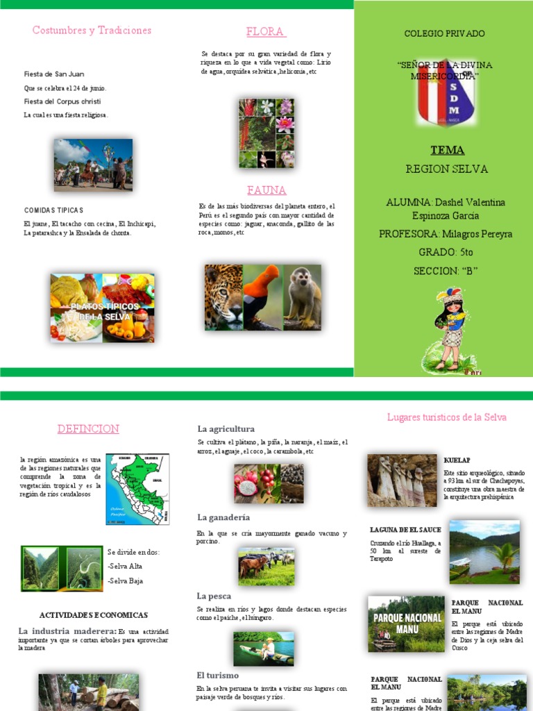 Triptico de La Selva | PDF | Selva | Perú