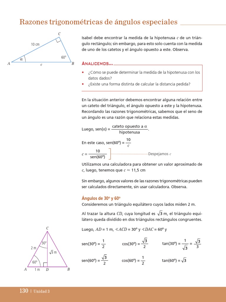 Raz - Trigonom Ángulos Especiales - Introducción | PDF | Triángulo ...