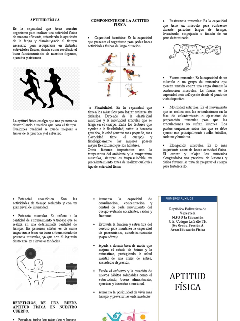 Aptitud Física Alcanzar Nuevas Alturas De Aptitud Física Y Salud Del