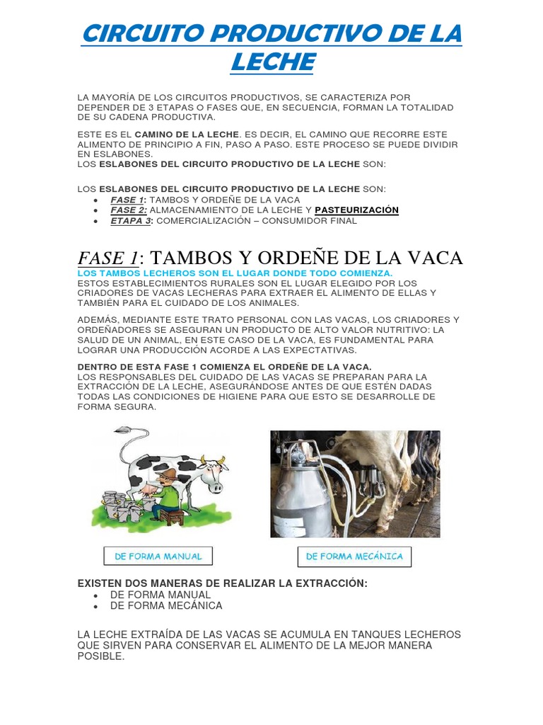 Circuito Productivo de La Leche | PDF | Leche | Lechería