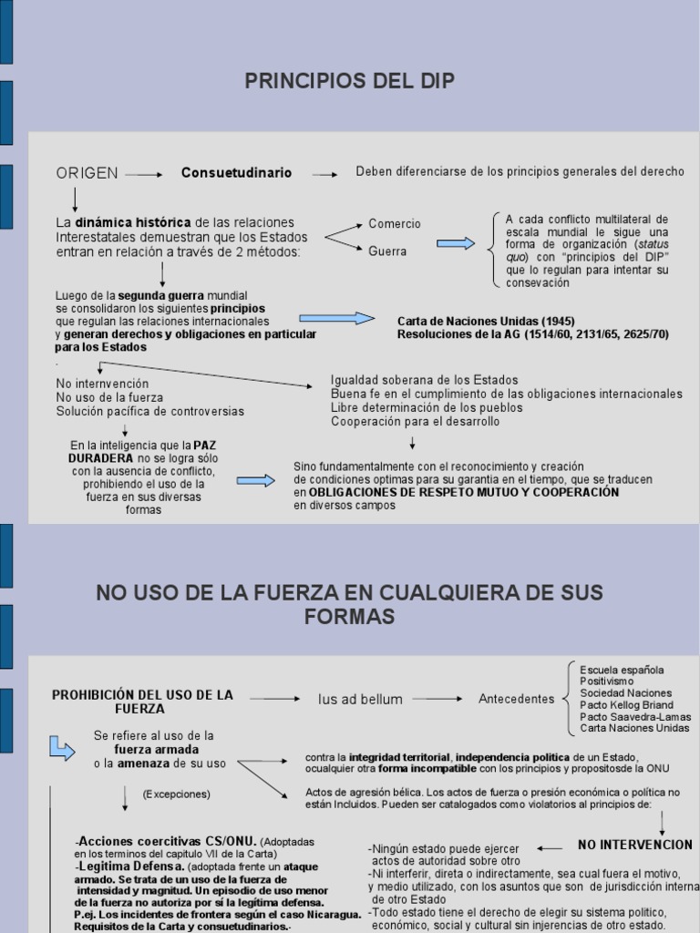 Filiminas Principios Del Dip | PDF | Estado (política) | Naciones Unidas