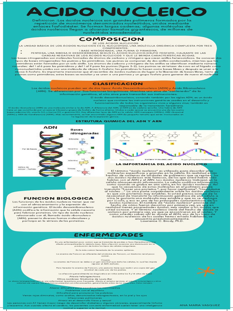 Acido Nucleico | PDF | Ácidos nucleicos | Rna