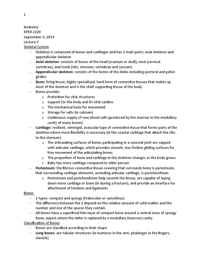 Anatomy Lecture 2 | Download Free PDF | Skeleton | Muscle Contraction