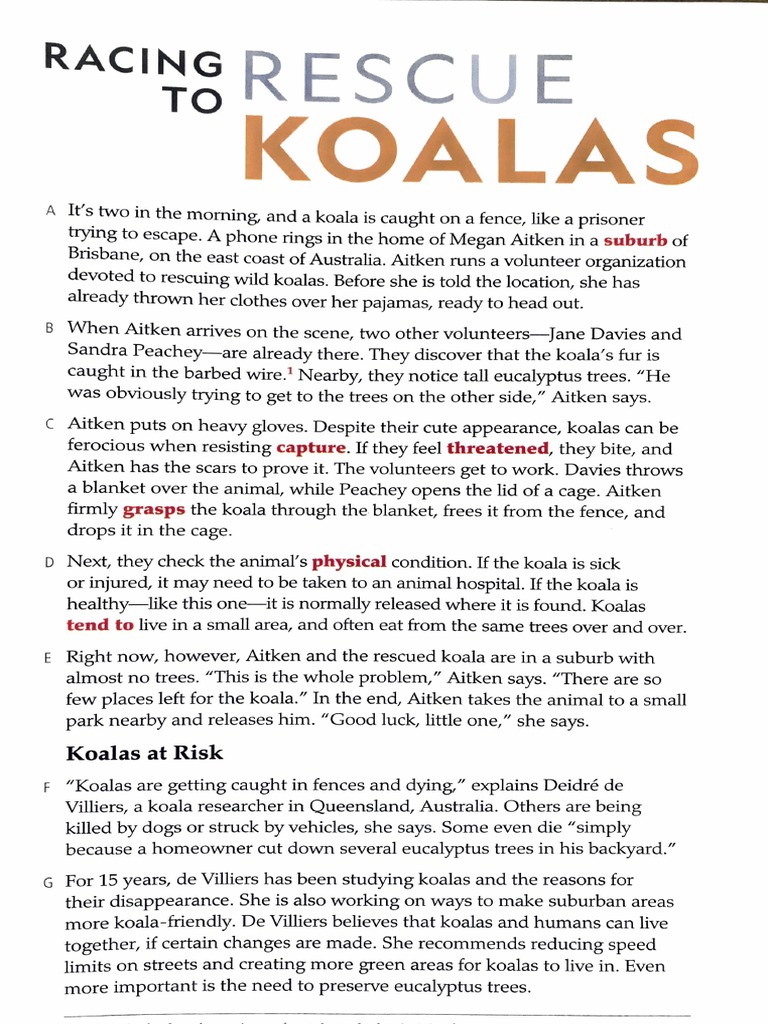 Unit 3A - Koalas | PDF