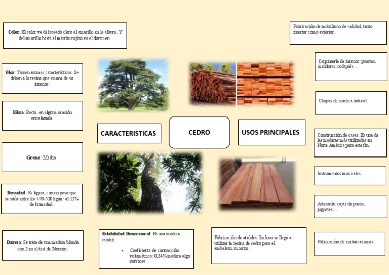Mapa Armonico Del CEDRO | PDF | Madera | Productos extranjeros