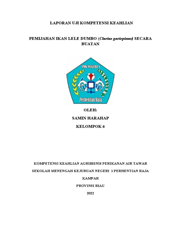 LAPORAN UKK SAMIn | PDF