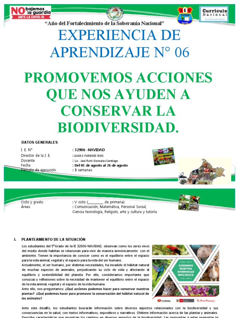 Experiencia de Aprendizaje N 06 Jael | PDF | Geometría | Aprendizaje