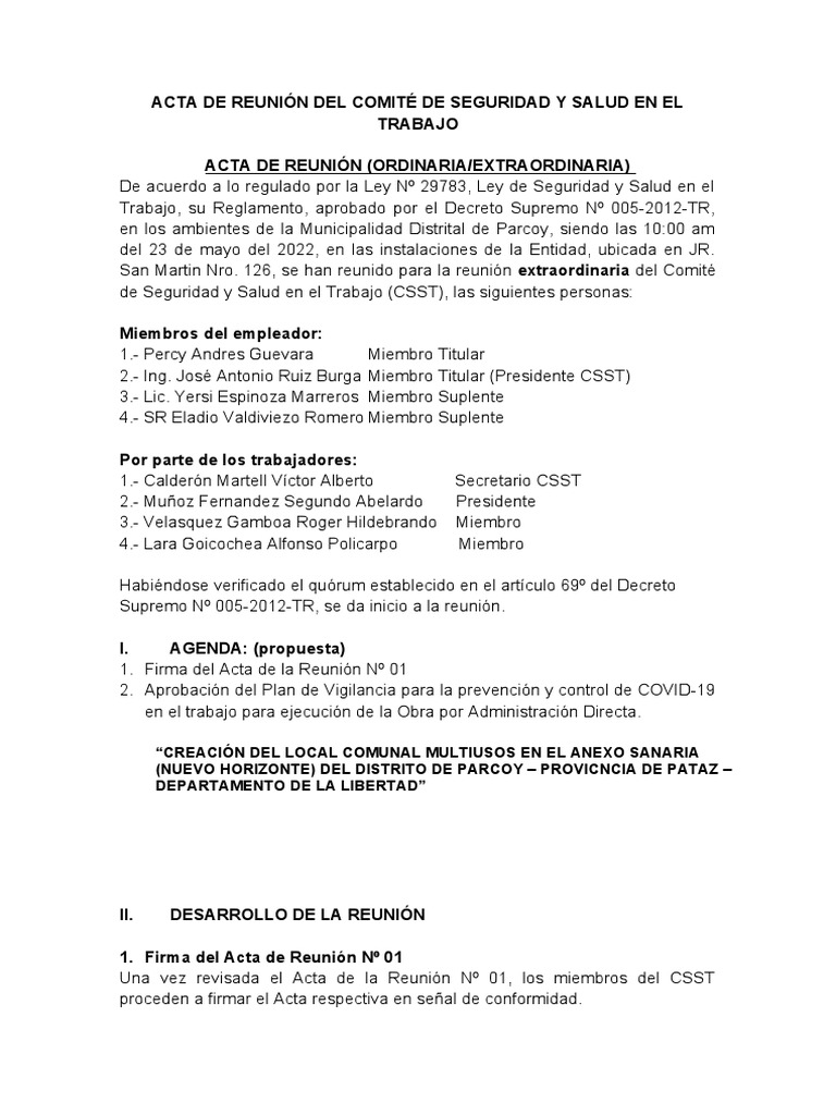 Acta Reunion Comite | PDF | Gobierno | Gobernancia