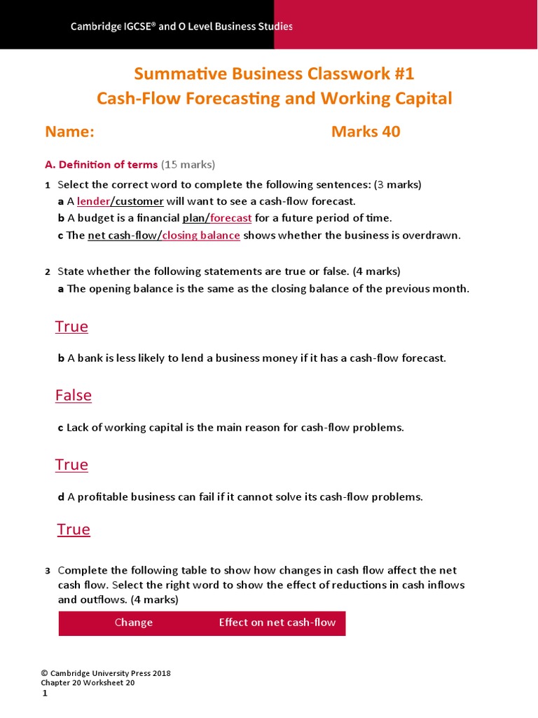 Andy Liang Zhu - 10C Business Summataive CW Cash-Flow and Working Capital | PDF | Working ...