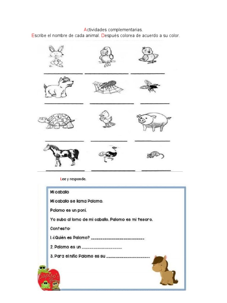 Escribe El Nombre de Cada Animal | PDF