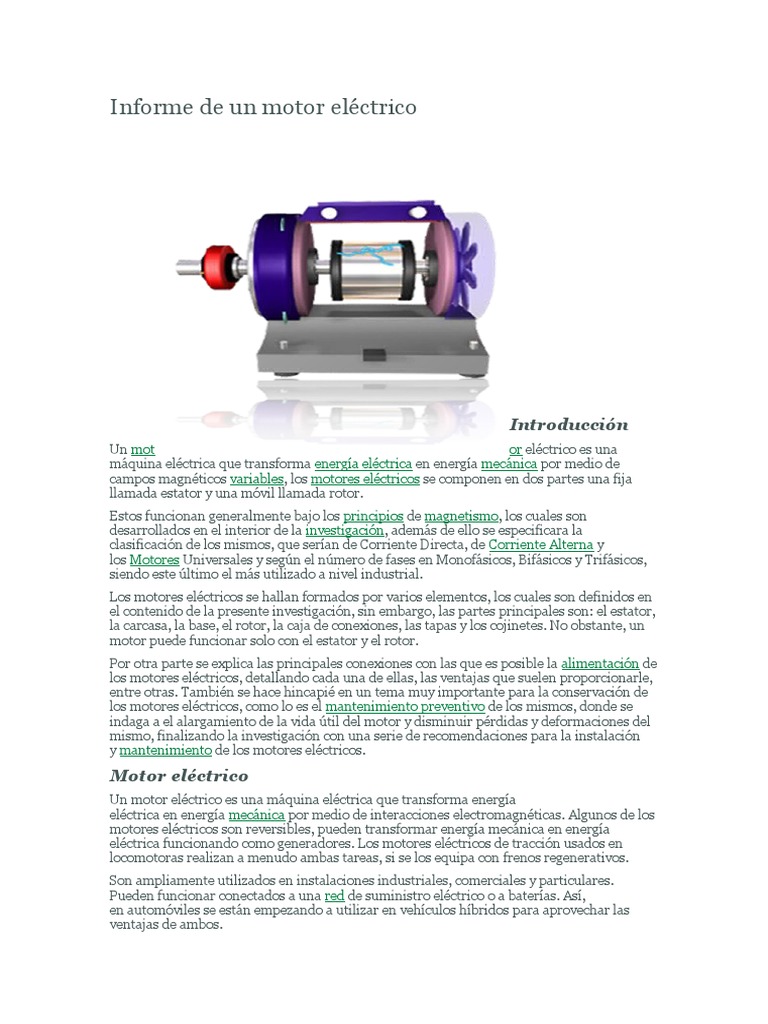 Informe de Un Motor Eléctrico | PDF | Motor eléctrico | Rodamiento (Mecánico)
