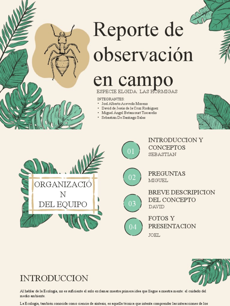 Reporte de Investigacion de Campo | PDF | Hormiga | Ecología