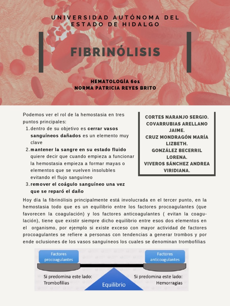 Fibrinólisis y Hemostasia: Equilibrio Crucial | PDF | Coagulación ...