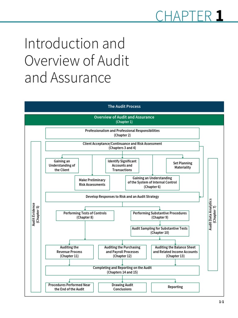 The Audit Process Overview of Audit and Assurance | PDF | Financial ...