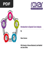 Reservoir Modeling Workflow Guide | PDF | Geology | Science