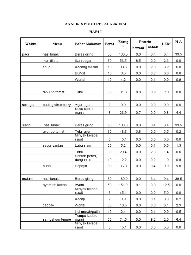 Analisis Food Recall 24 Jam | PDF