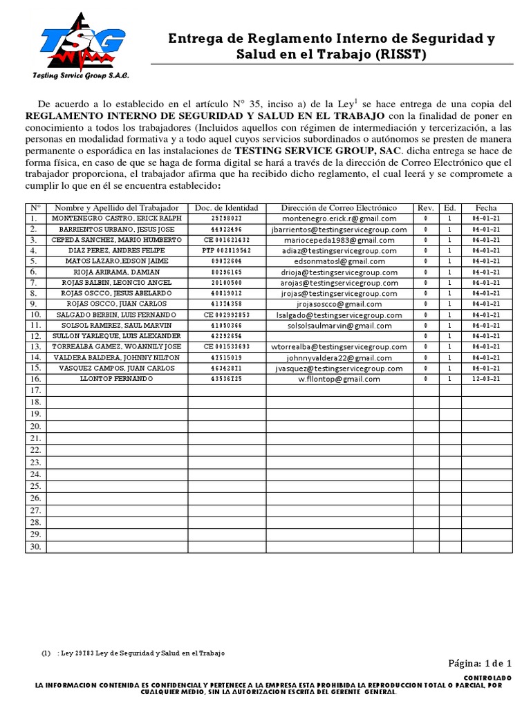 Registro entrega RISST TSG | PDF