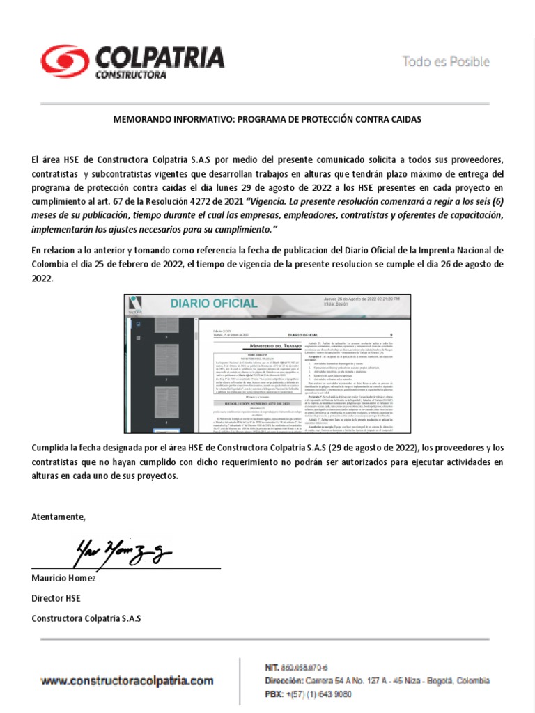 Memorando Informativo | PDF | Finanzas y dinero | Informática