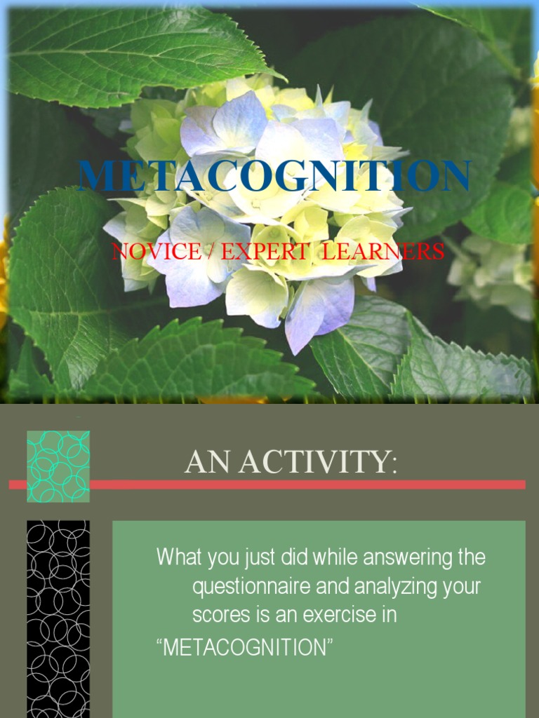 Metacognition: Novice / Expert Learners | PDF | Metacognition | Learning