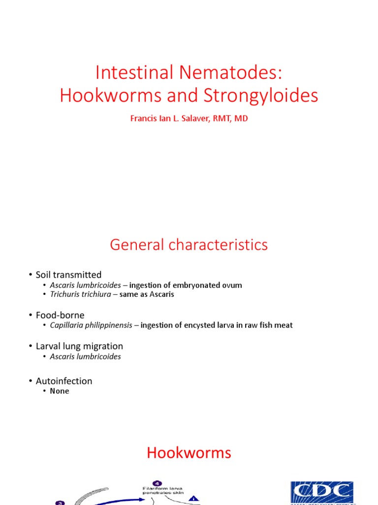 Intestinal Nematodes: Hookworms and Strongyloides | PDF | Parasitology ...