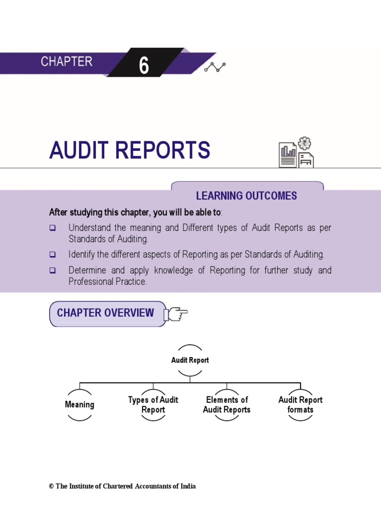 Audit Report | PDF | Going Concern | Auditor's Report