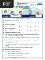 Class 5-Science Notes-The Nervous System | PDF | Brain | Nerve