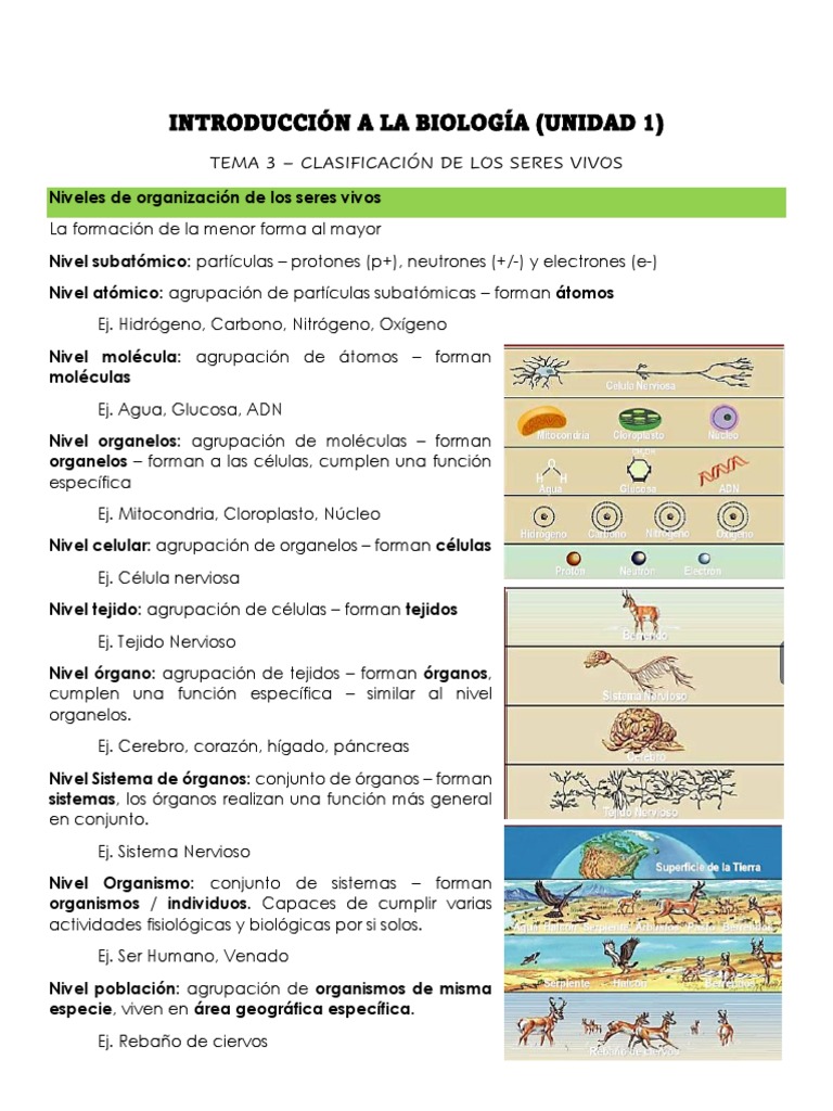 Introducción A La Biología - Tema 3 Clasificación de Los Seres Vivos ...