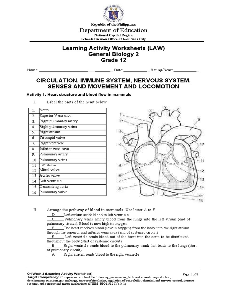 Gen Bio 2 LAW Q4 Week 3 4 (AutoRecovered) | PDF | Immune System | Antigen