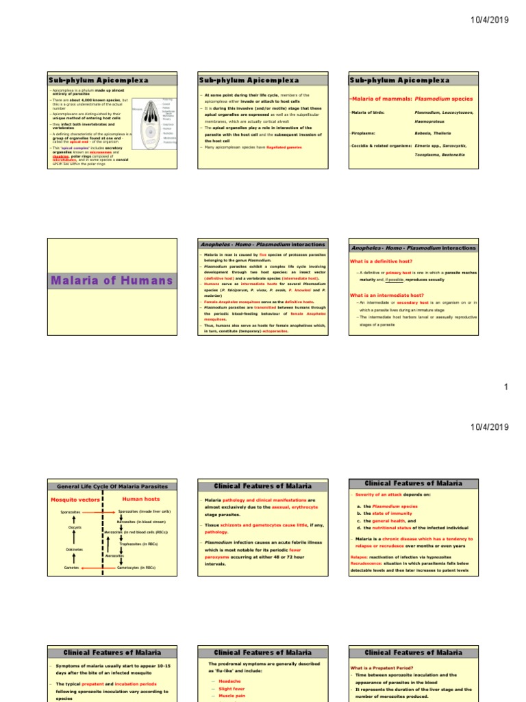 SZL 406 Subphylum Apicomplexa - October 2019 | PDF | Plasmodium | Malaria