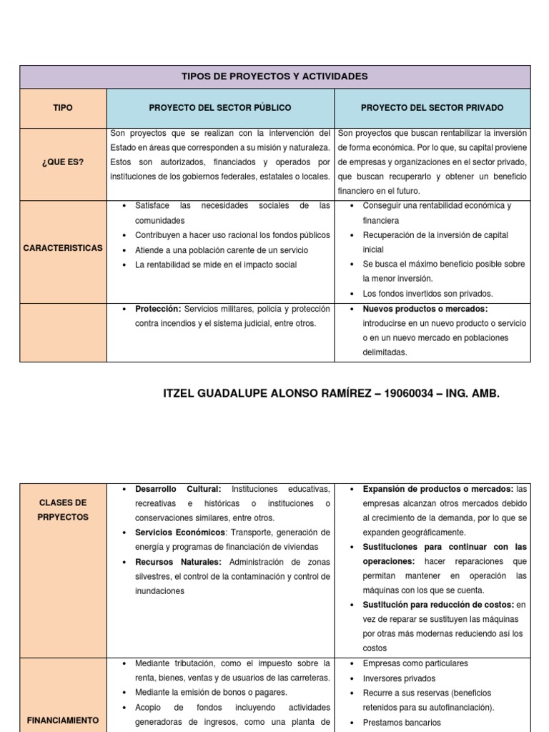 Tipos de Proyectos Públicos y Privados | PDF | Business | Inversiones