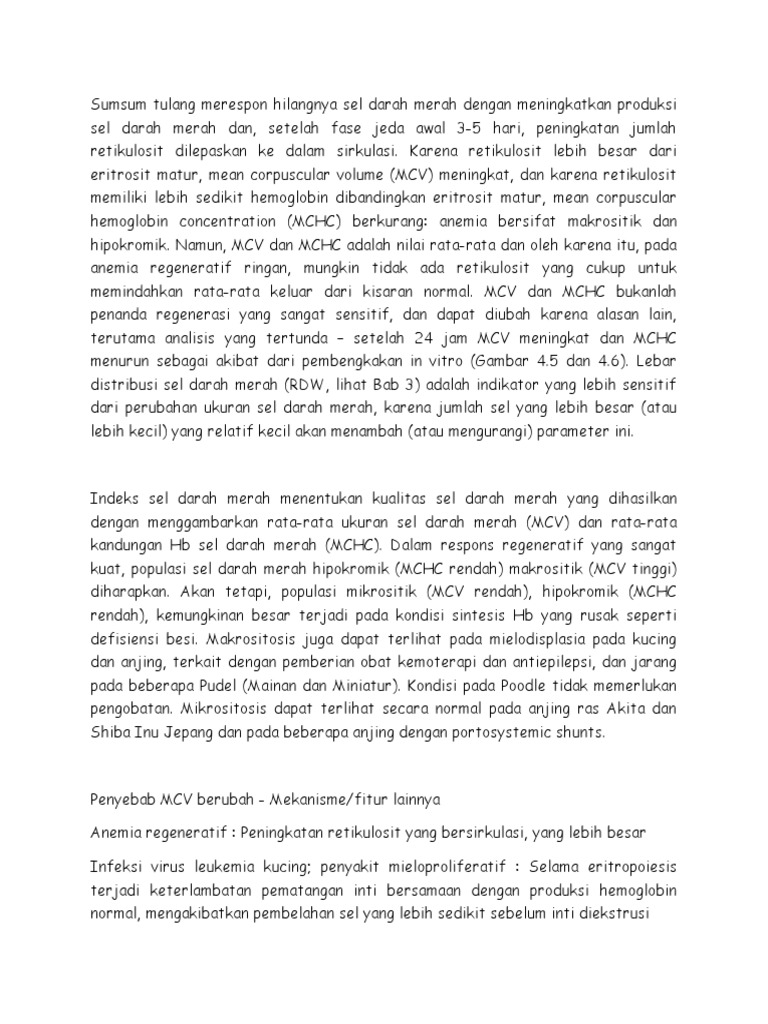 Sumsum Tulang Merespon Hilangnya Sel Darah Merah Dengan Meningkatkan ... Sumsum Tulang Merespon Hilangnya Sel Darah Merah Dengan Meningkatkan ...