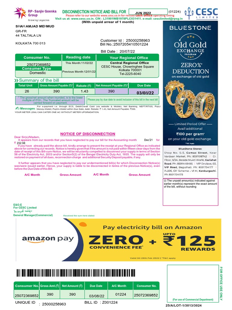 Summary of The Bill: Disconnection Notice and Bill For | PDF | Business ...