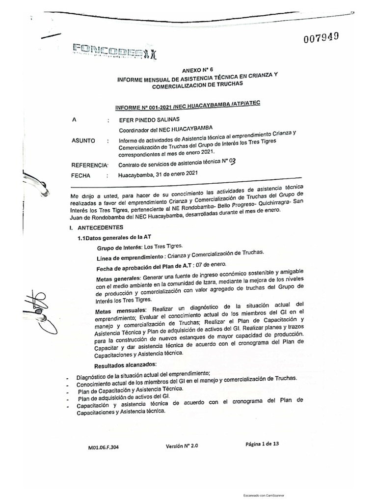 Anexo 6 Informe Mensual de Asistente Tecnico Productivo | PDF