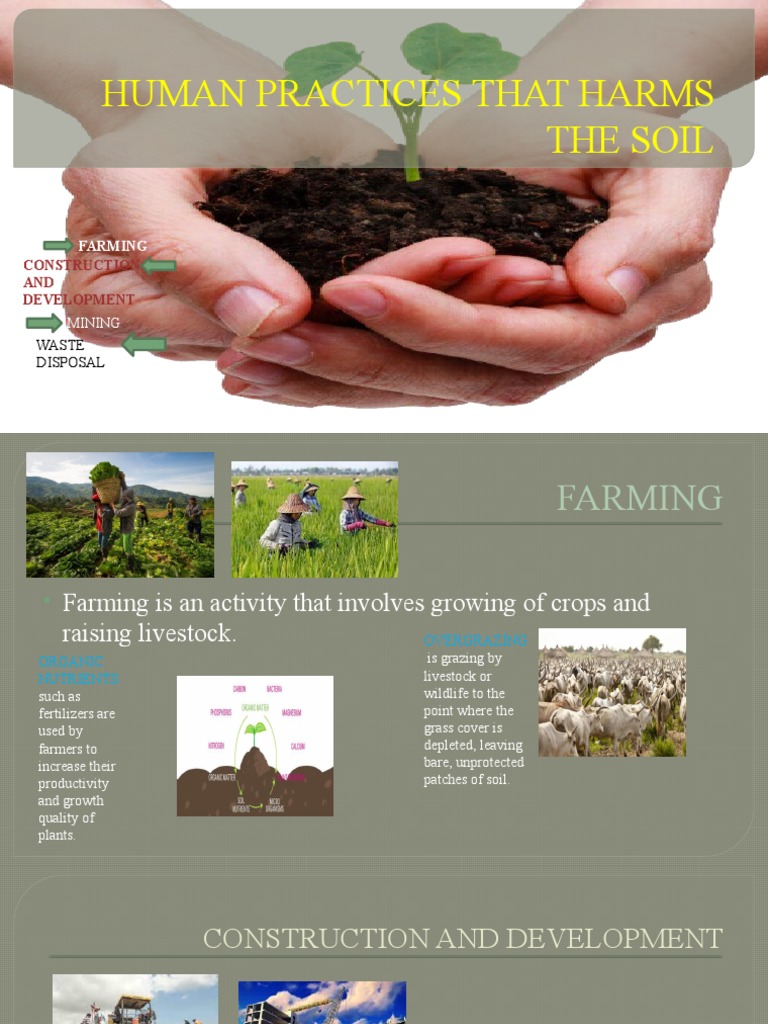 Harmful Human Practices on Soil | PDF | Home & Garden