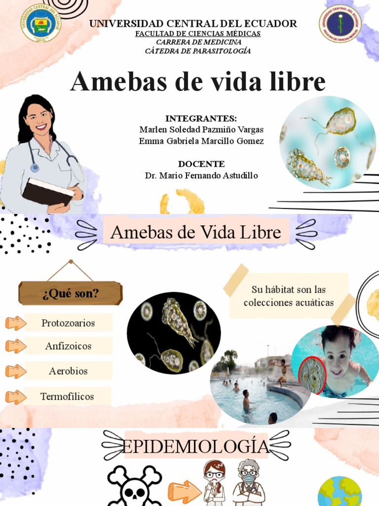 Amebas de Vida Libre | PDF | Microbiología | Organismos