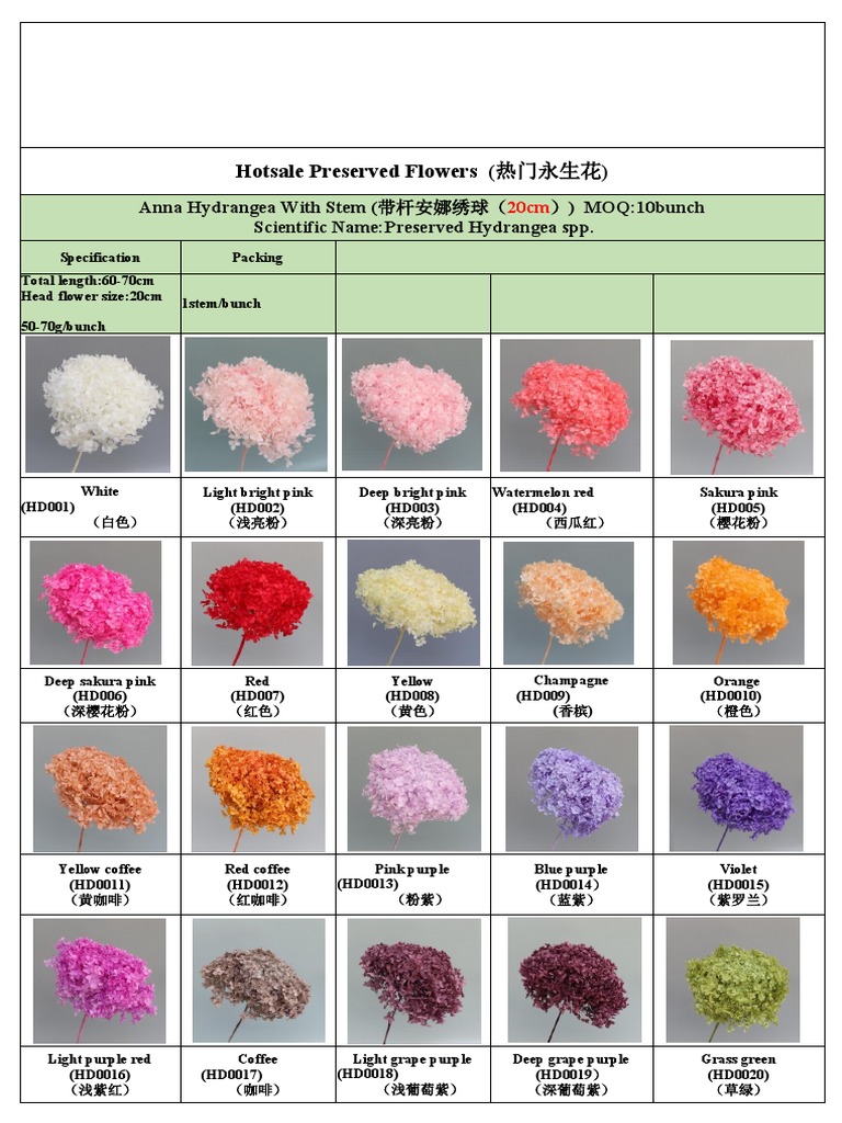 Preserved Flower Catalog Pg2 (No Price) | PDF