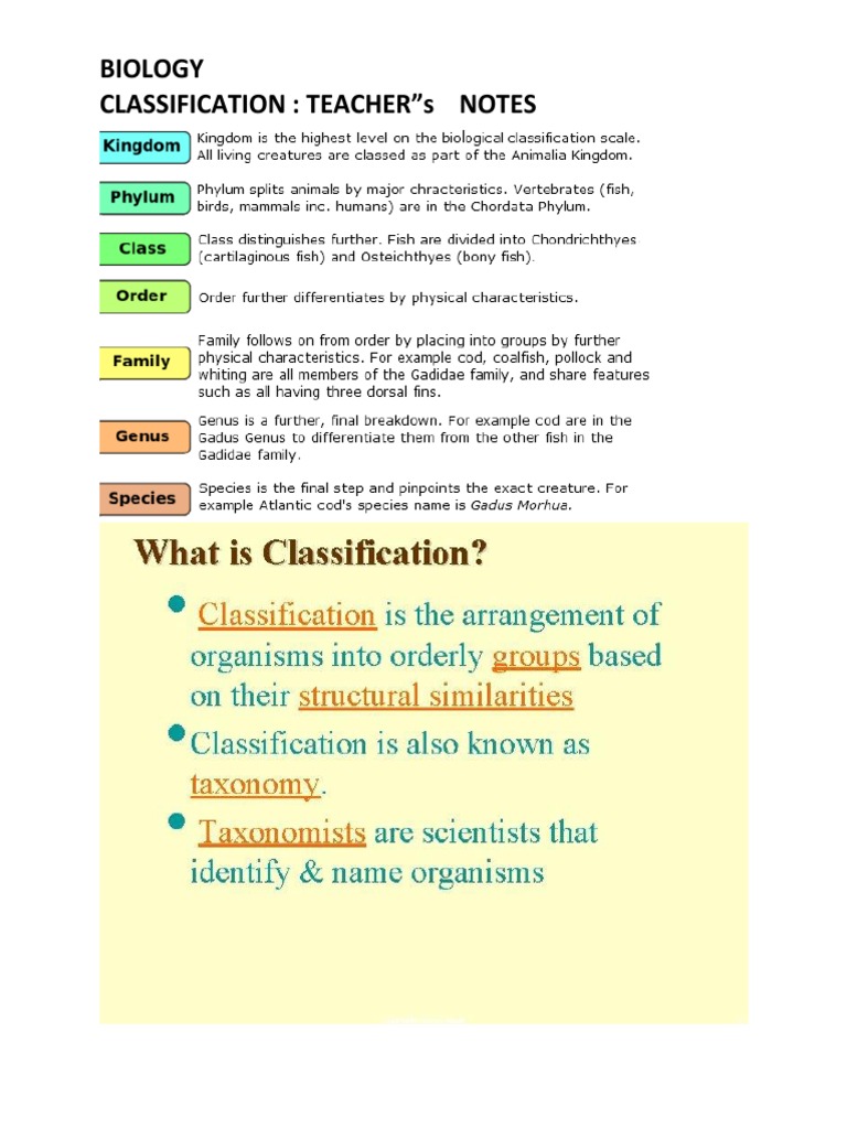 Grade 9C Biology Notes-1 | PDF | Enzyme | Endoplasmic Reticulum