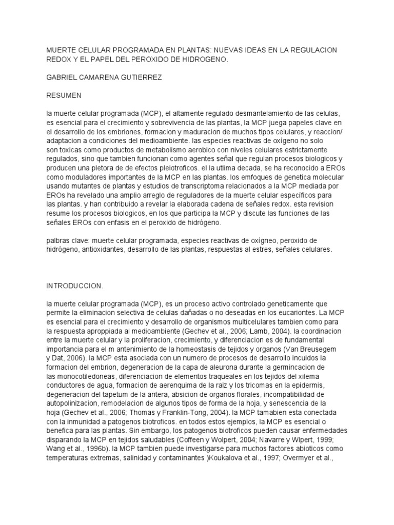 Muerte Celular Programada Pdf Apoptosis Autofagia