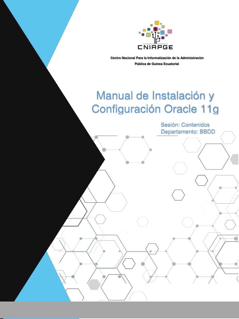 Manual de Instalación y Configuración Oracle 11g | PDF | Archivo de computadora | Bases de datos