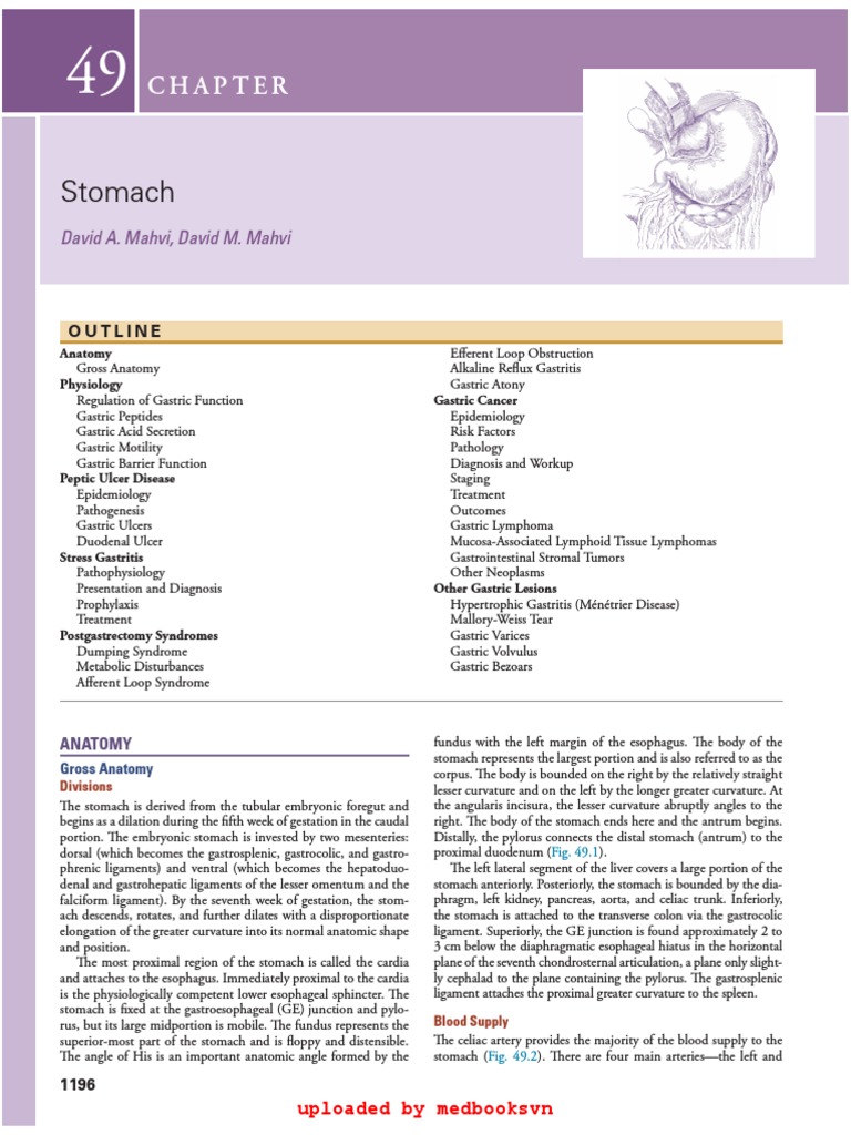 Stomach: David A. Mahvi, David M. Mahvi | PDF | Stomach | Gastroenterology