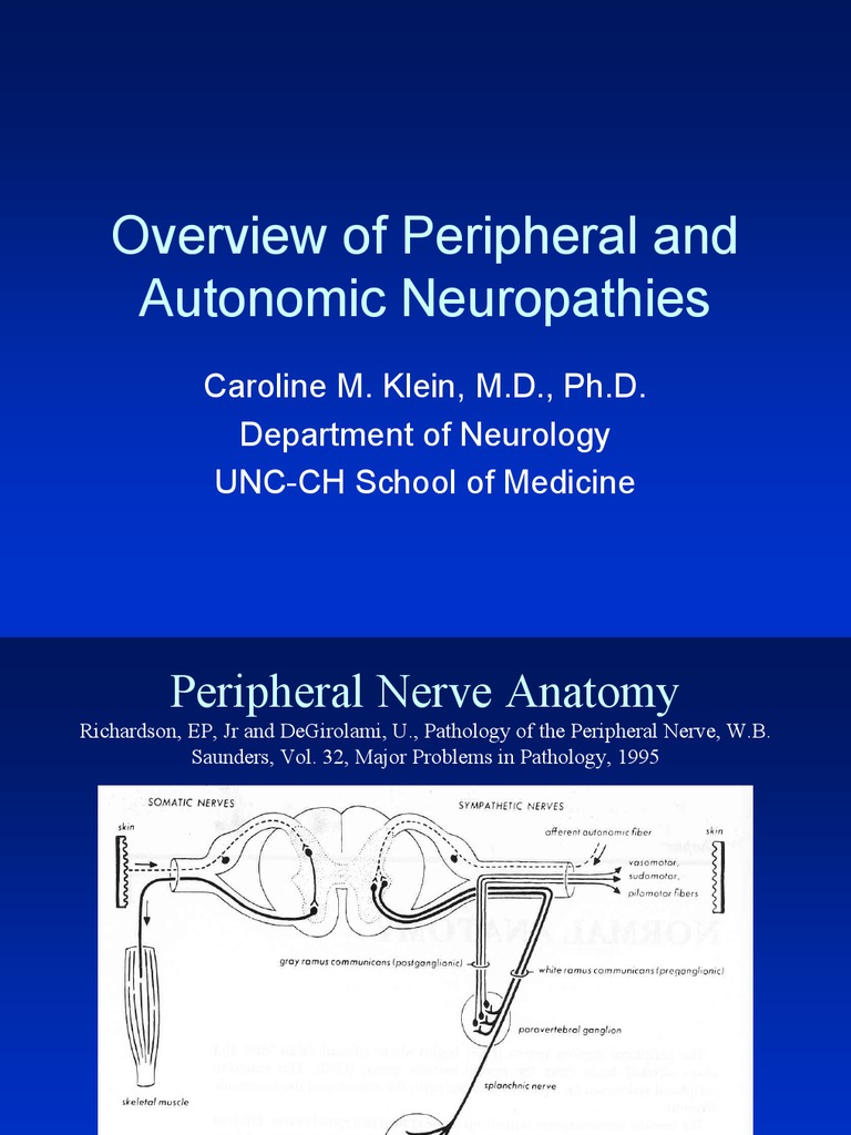 Understanding Peripheral Neuropathies | PDF | Peripheral Neuropathy ...