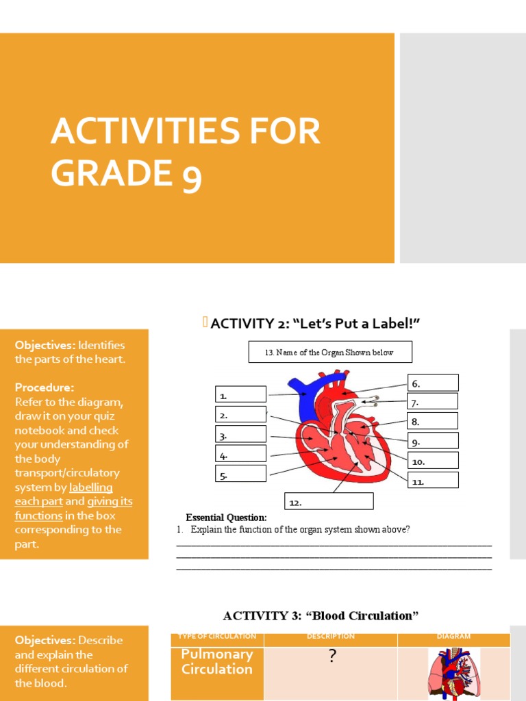 Activities For Grade 9 | PDF | Circulatory System | Respiratory System