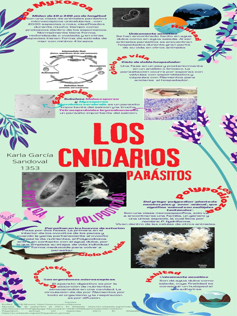 Parásitos Cnidarios: Myxozoa y Polypodiozoa | PDF | Eucariotas | Biología